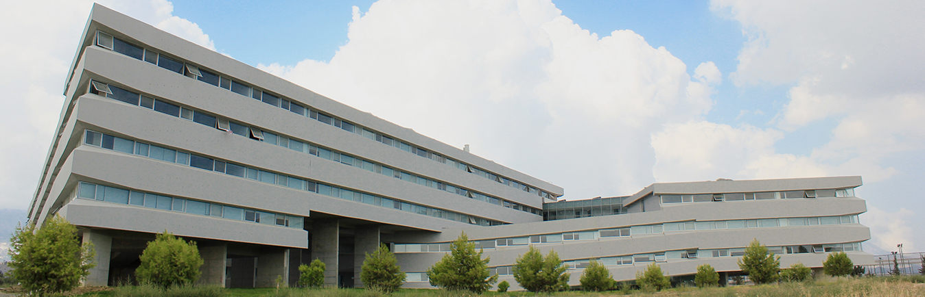 Accommodation Frequently Asked Questions | Cyprus International University