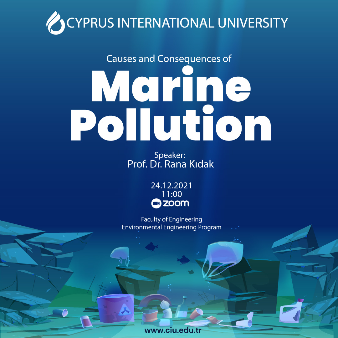 Causes And Consequences Of Marine Pollution Ciu