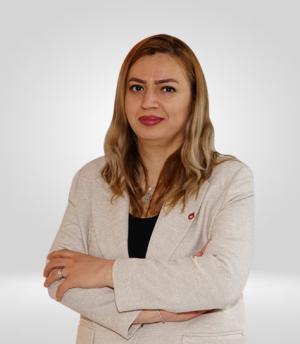 Faculty of Engineering Academic Staff | Cyprus International University